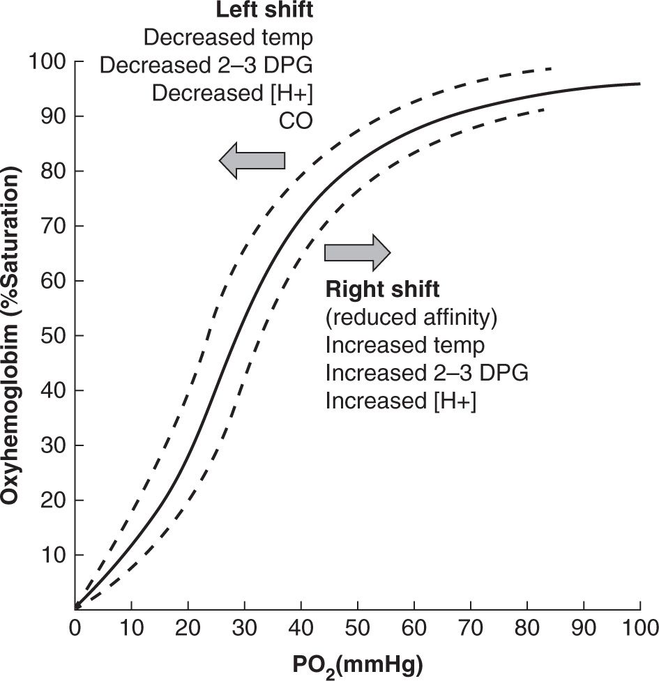 Fluid Management and Blood Transfusion | Anesthesia Key