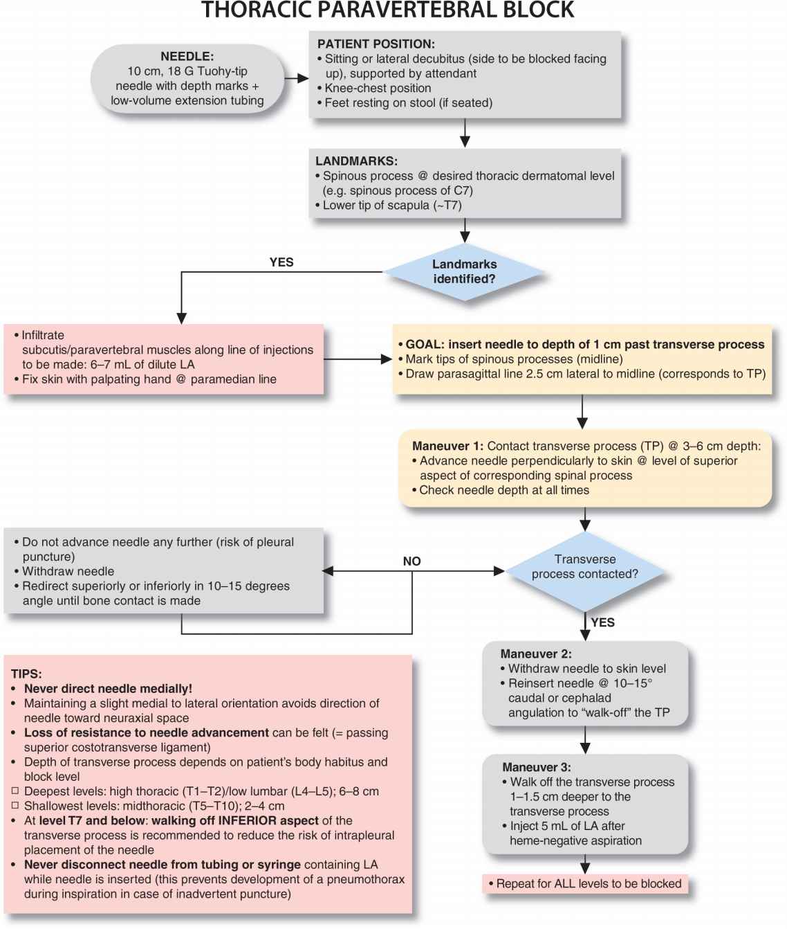 Thoracic Paravertebral Block | Anesthesia Key