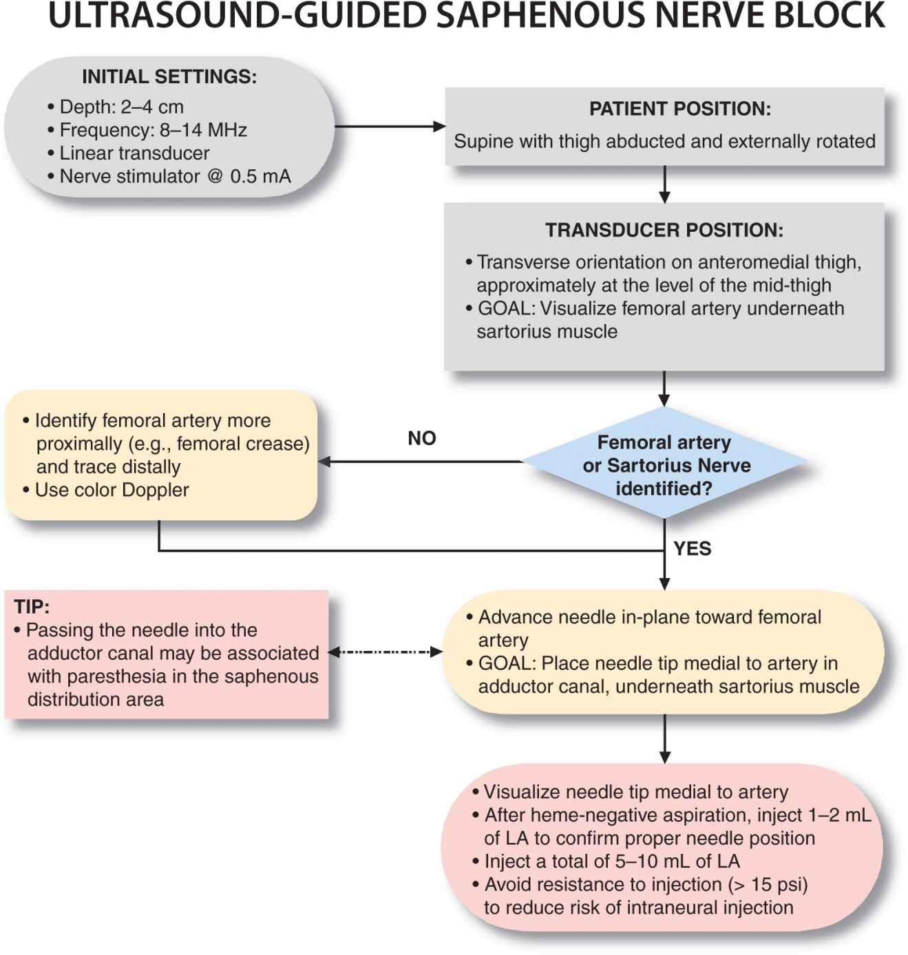 Ultrasound-Guided Saphenous Nerve Block | Anesthesia Key