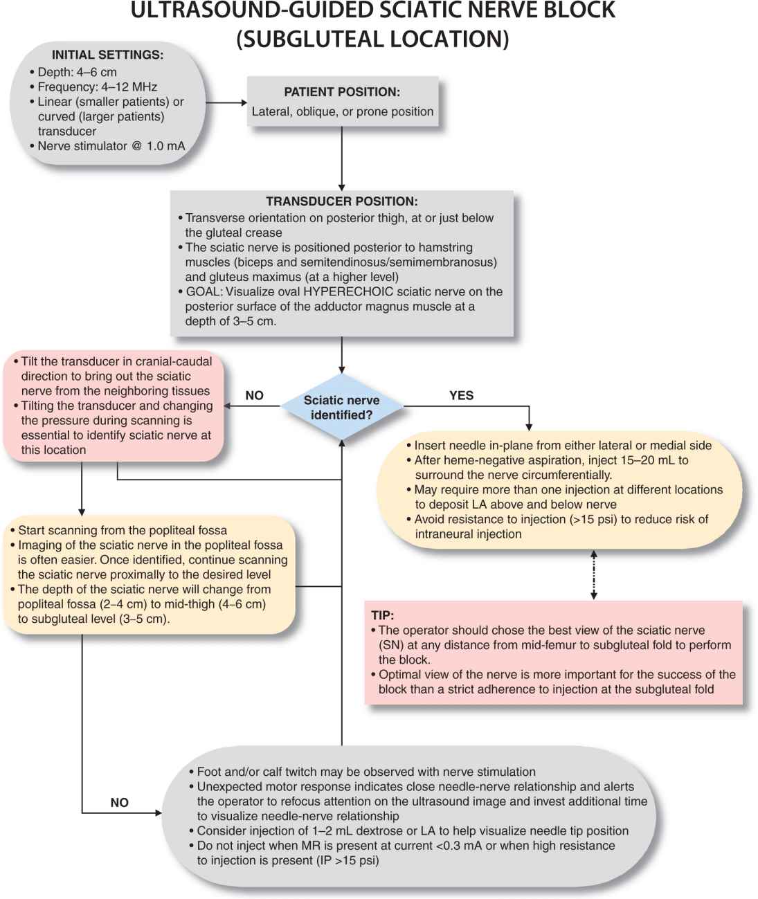 Ultrasound-Guided Sciatic Block | Anesthesia Key