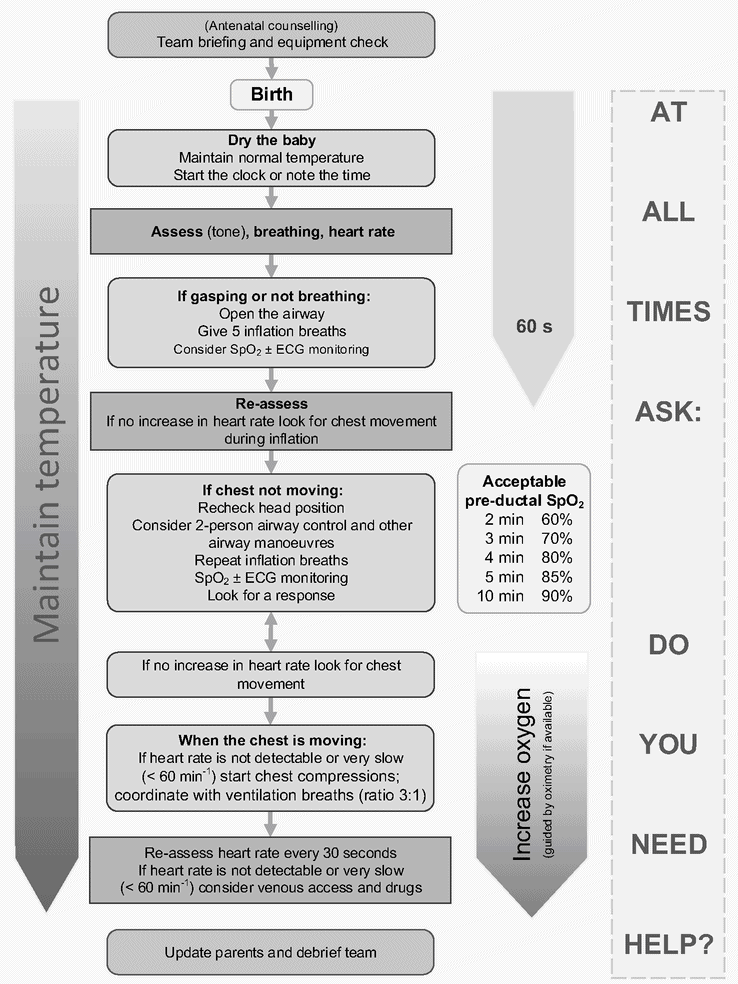 Resuscitation algorithms | Anesthesia Key