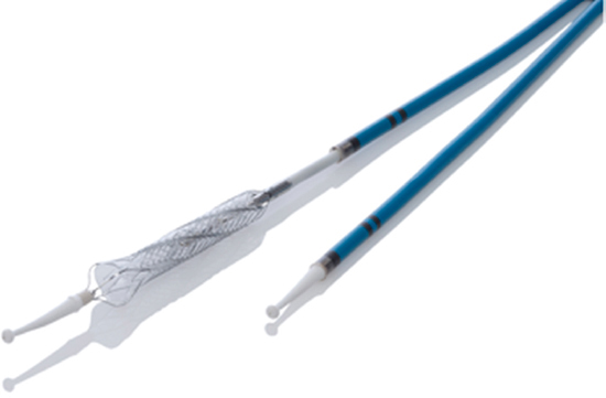 Cardiac Mechanical Assist Devices | Anesthesia Key