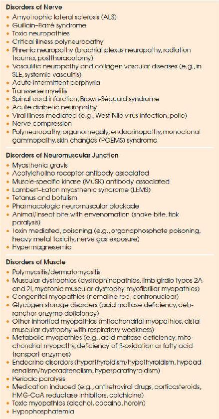 Neuromuscular Disorders | Anesthesia Key