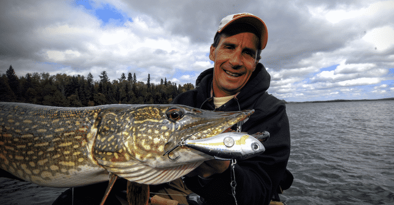 Giant Pike Fish