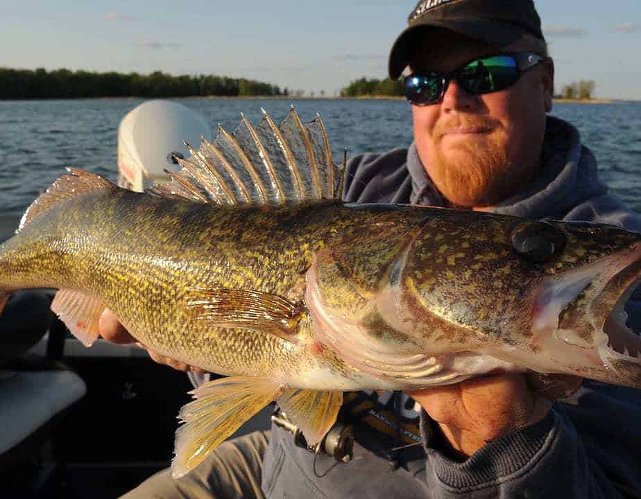 Deadly Effective Bottom Bouncer Tricks And Tips