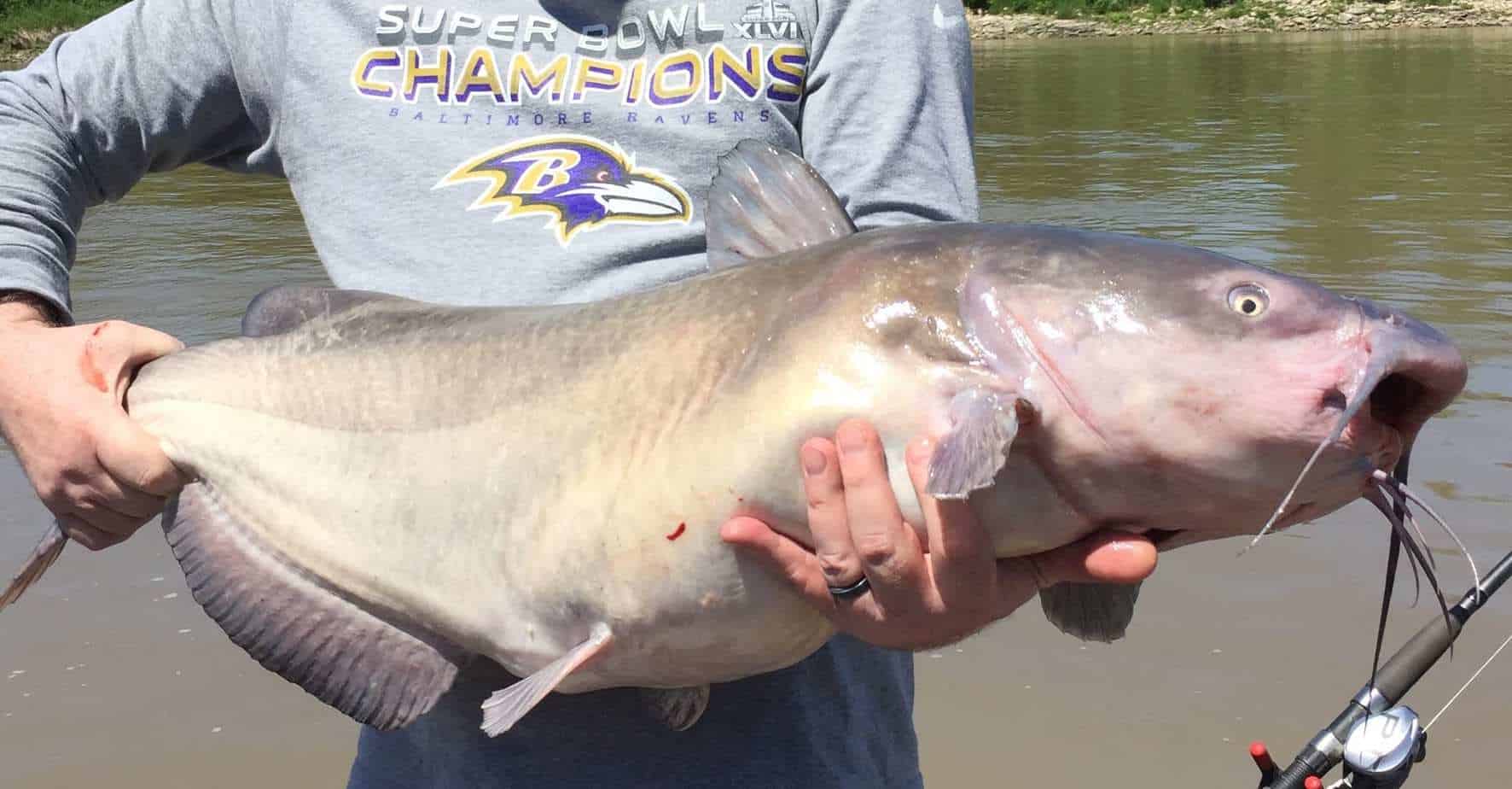 RED RIVER CATFISH | World Class Fisheries | AnglingBuzz