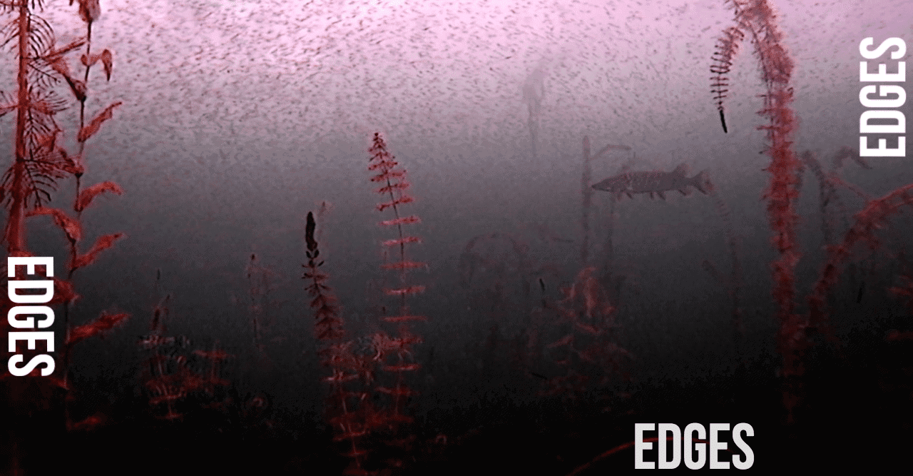 Understanding How Fishing Edges Impact Fishing AnglingBuzz