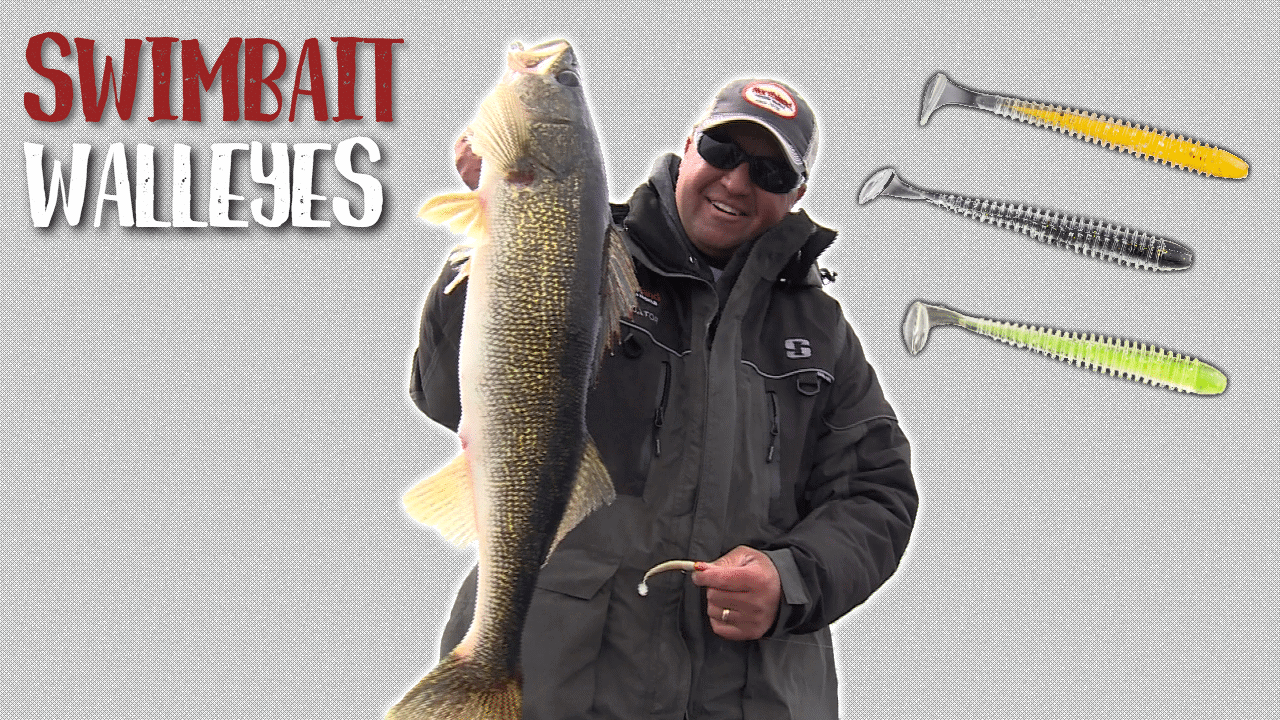 BIG Swimbaits For Walleyes: Tips And Tactics