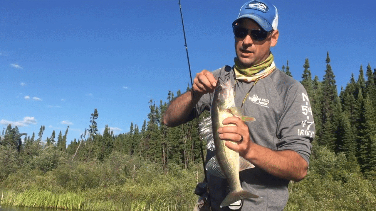 Northern Manitoba Fishing Report - Bryan Bogdan AnglingBuzz