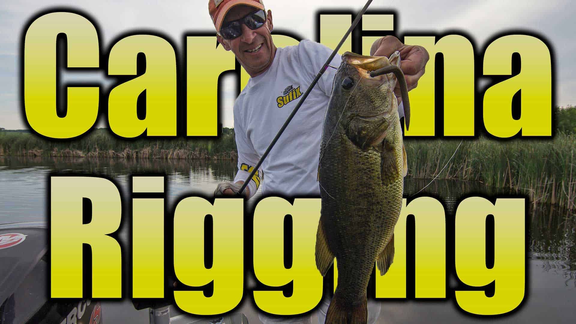 Largemouth Bass Fishing Rigs
