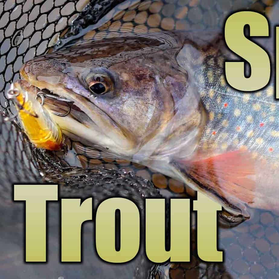 Early Season Stream Trout | Wisconsin Trout | AnglingBuzz