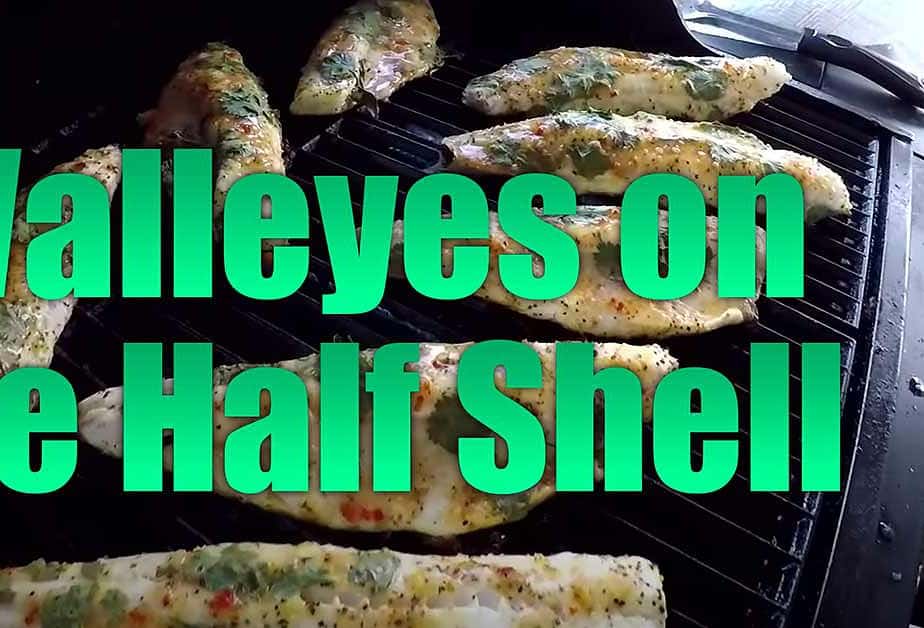 Walleyes On The Half Shell | AnglingBuzz