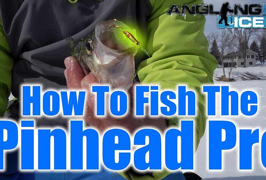 How To Fish A Pinhead Pro Spoon AnglingBuzz