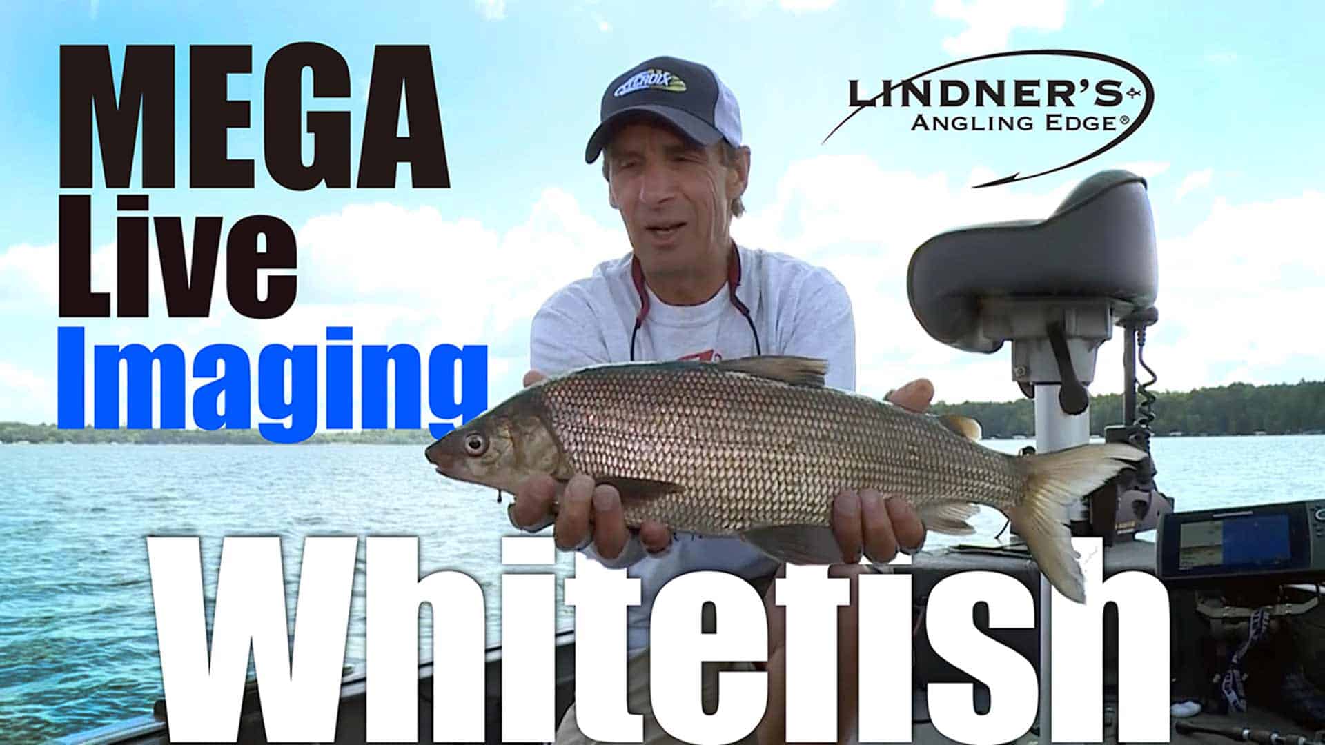 Mega Live Imaging Whitefish | Angling Edge