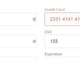 Simple Angularjs Directive For Credit Card Input Angular Script