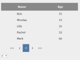 Minimalist Angular Table Pagination Directive Pagingtable Angular