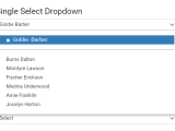 Custom Dropdown Component For Angular App Ngx Select Dropdown