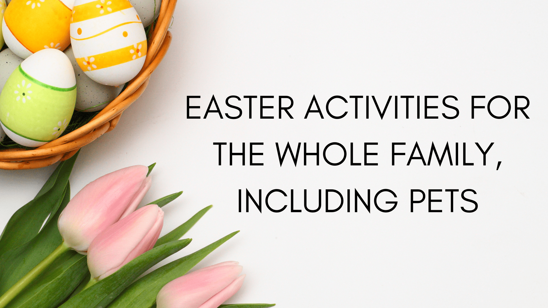 Easter Activities for the Whole Family, Including Pets. | Animals of ...