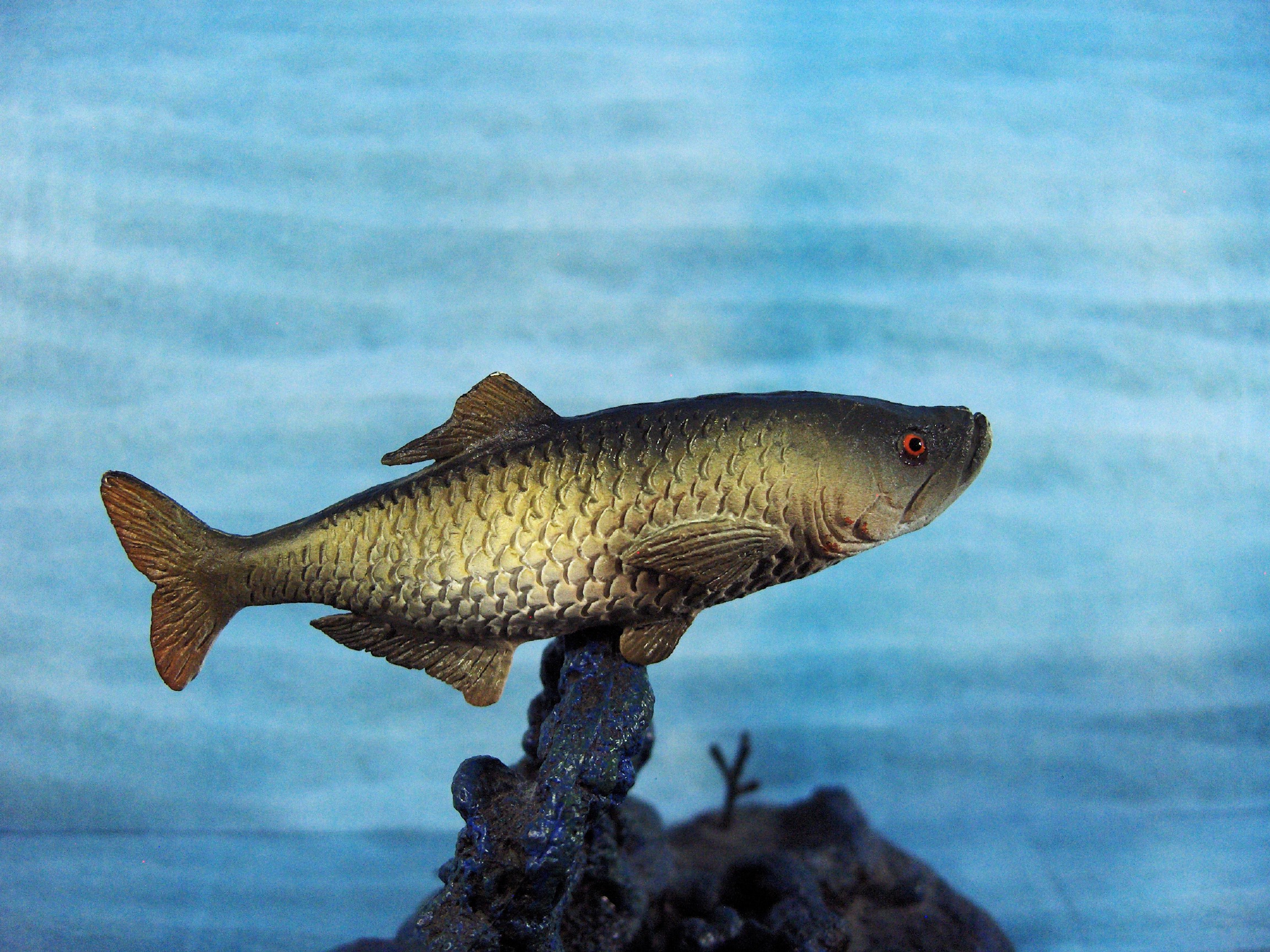 GC Tarpon – Animal Toy Blog