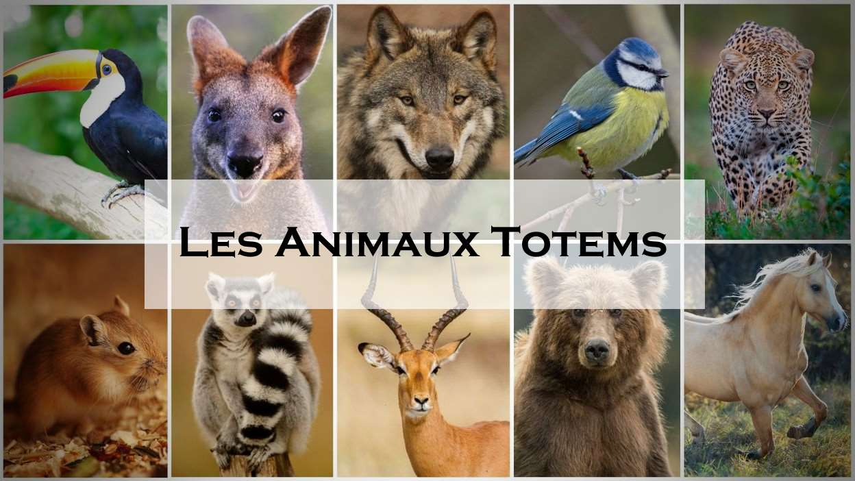 Liste des animaux totems - AnimauxFun.com