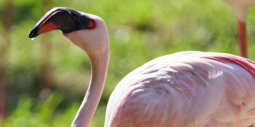 The Power of Authentic Models | Ann Mausbach