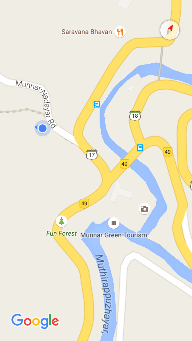 Munnar - Trekking through Tea Plantations - A Nomadic Existence