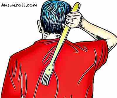 Why Do Guys Like Back Scratches? (5 Reasons We Know!) - Answeroll