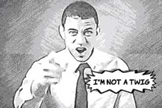 20 Things to Say When Someone Calls You A Twig - Answeroll