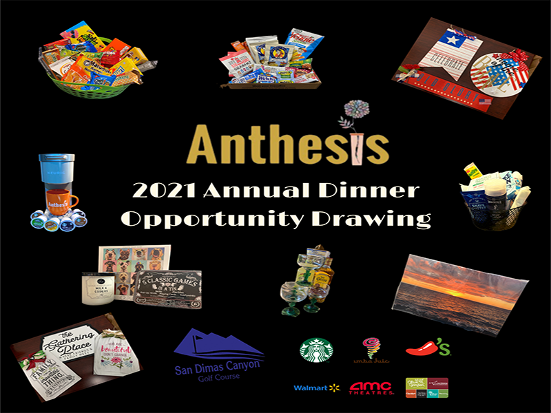 Opportunity Drawing Blog Post | Anthesis