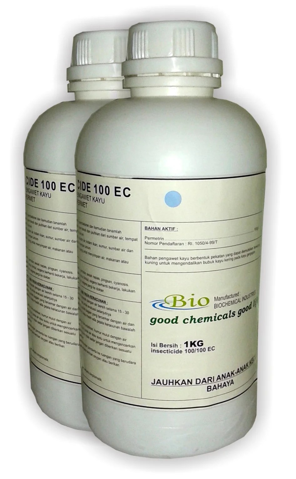 Kenali Tiga Jenis Kumbang Pengebor Kayu - BioCide Insecticide