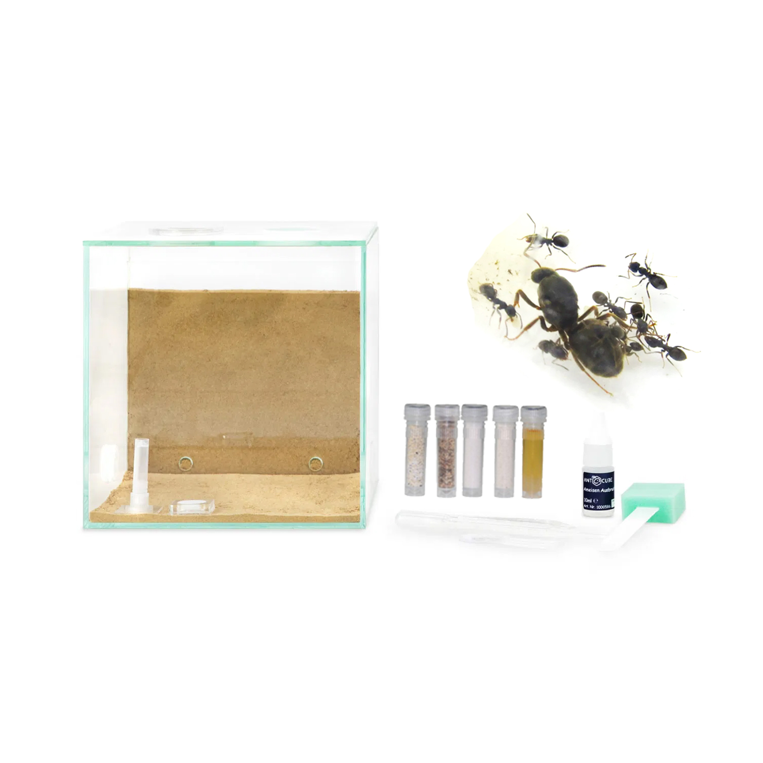 Ant + Habitat Bundles – Ants UK