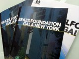 Brazil Foundation