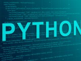 Python Programming Beginner To Expert Apex Learning