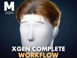 Xgen Complete Grooming Workflow Flippednormals