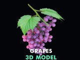 Grapes 3d Model Flippednormals