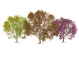 Customizable 3d Tree Models Flippednormals