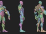 Stylized Hero Anatomy Blockout Flippednormals