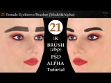 21 Female Eyebrows Brushes Model Alpha Vol Flippednormals