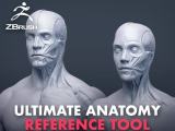 Ultimate Anatomy Reference Tool Flippednormals