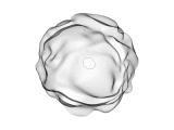 Explore Subnets Bittensor