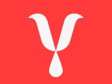 Explore Subnets Bittensor