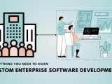 Essential Insights Into Custom Enterprise Software Development Relia