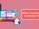 What Is Security Testing In Software Testing Types Examples Relia