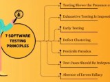 Detailed Explanation Of 7 Software Testing Principles Relia Software