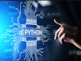 Detailed Instruction To Become A Competent Python Developer Relia