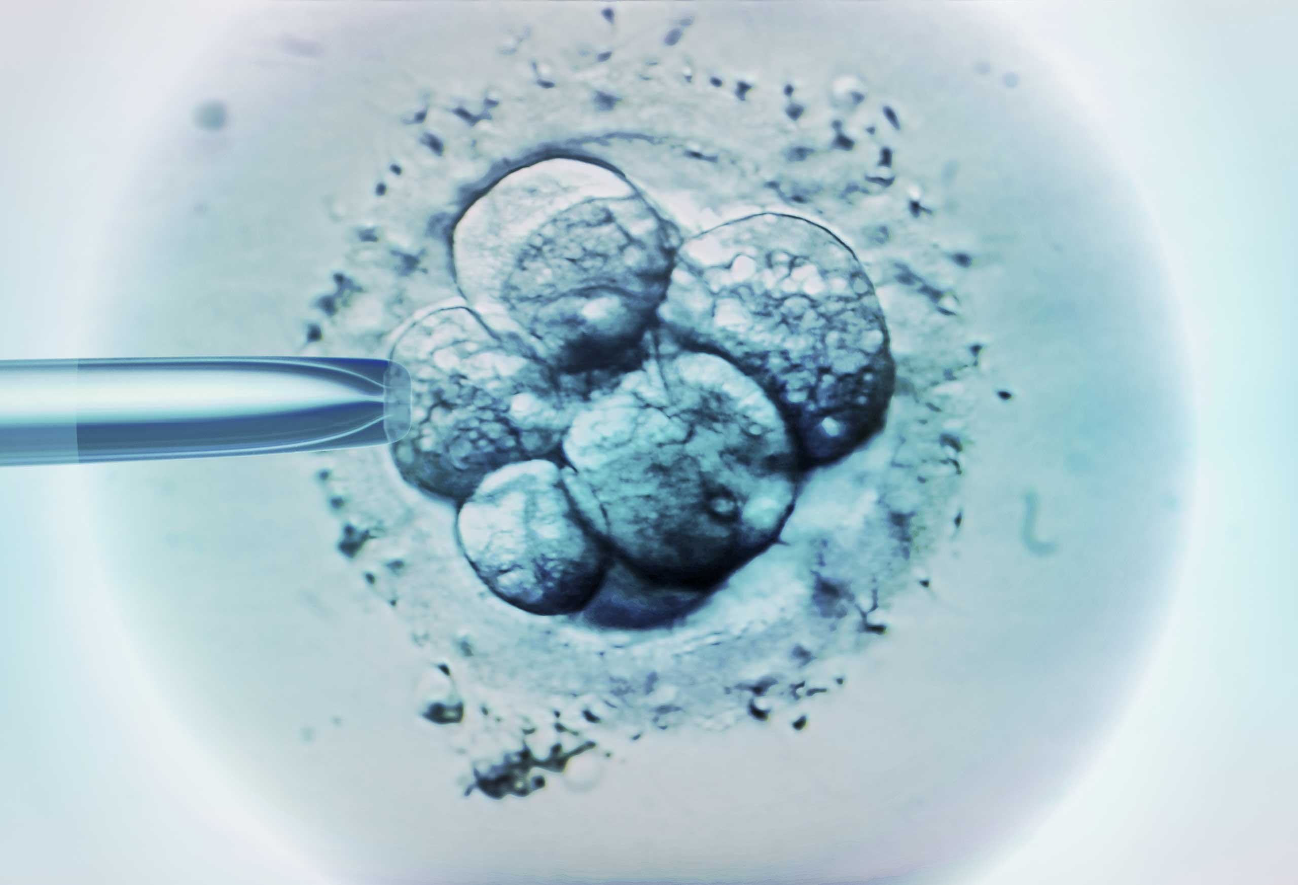 Crispr Chinese Researchers Modify Human Embryos Time