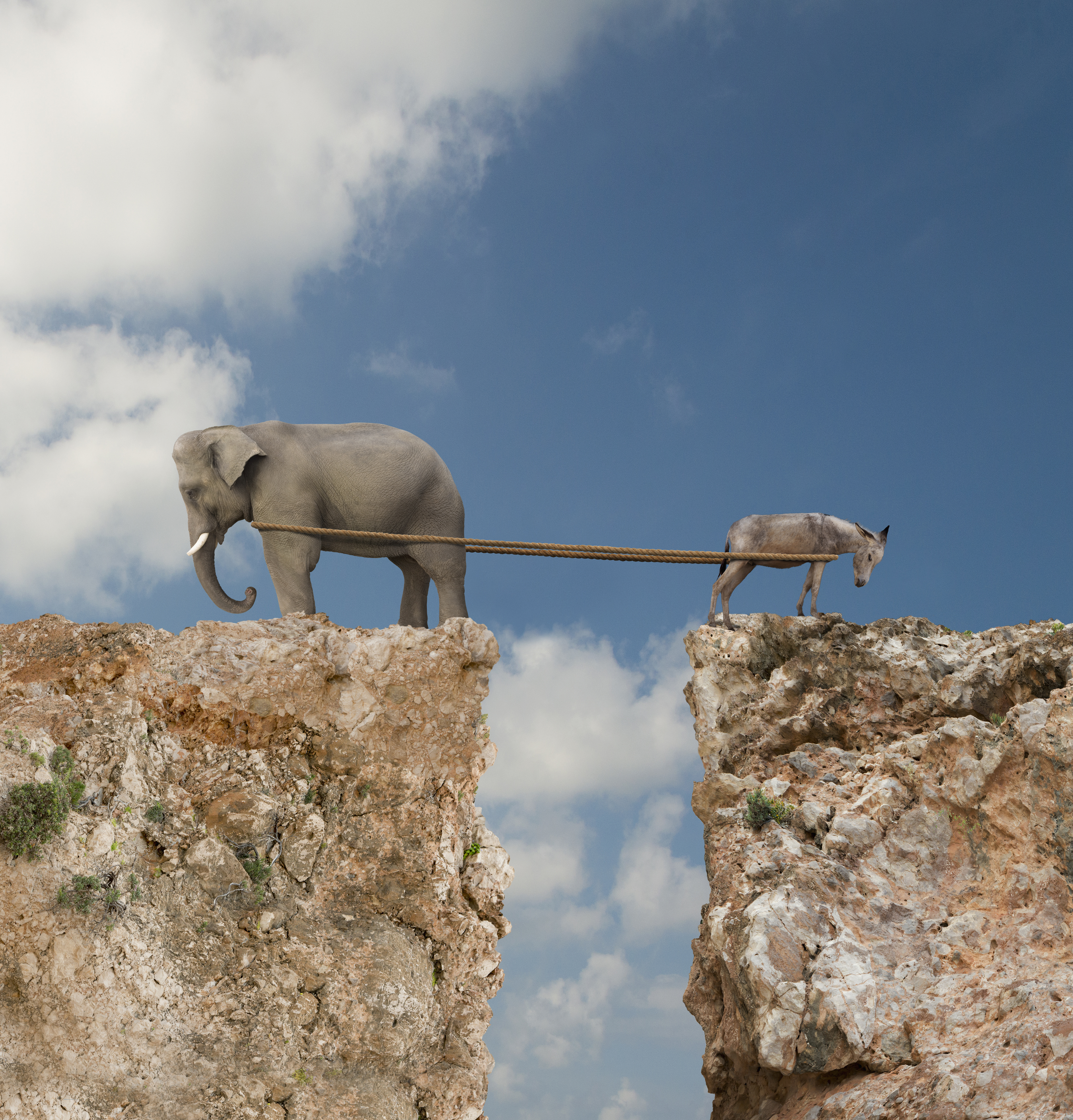 Politics Is One Big Monty Python Sketch Time