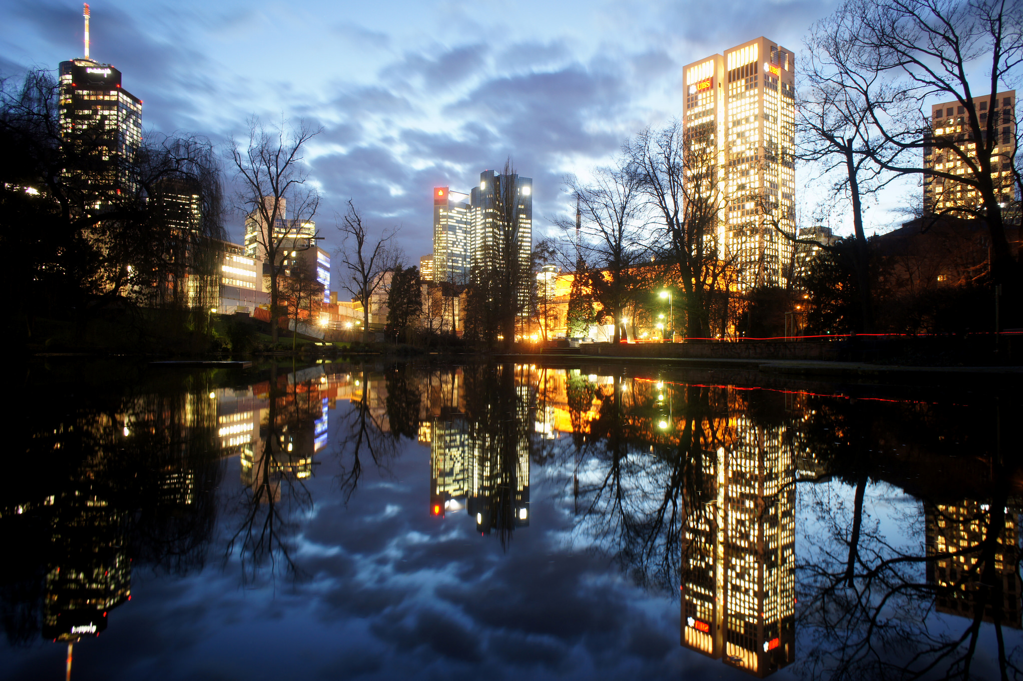 Trees Are The Smartest Investment To Clean Urban Air Time