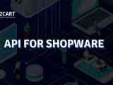 Api For Shopware How To Get Strong Software Integration Api2cart