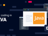 Learn Java Discover Our Courses Sololearn